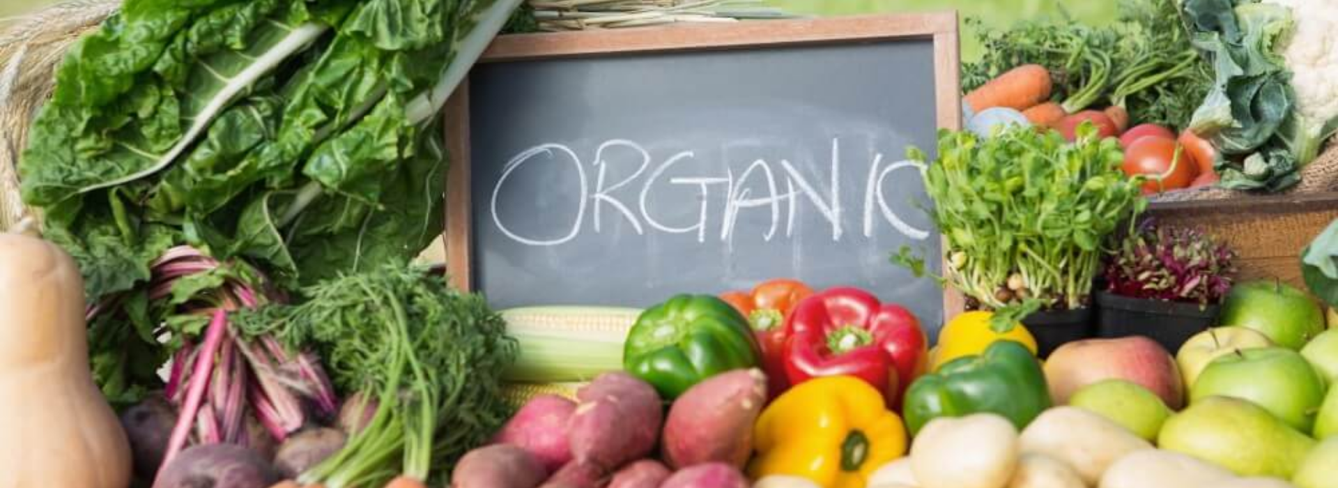 Organic Food - Why Do You Need to Eat it? - Holistic Health