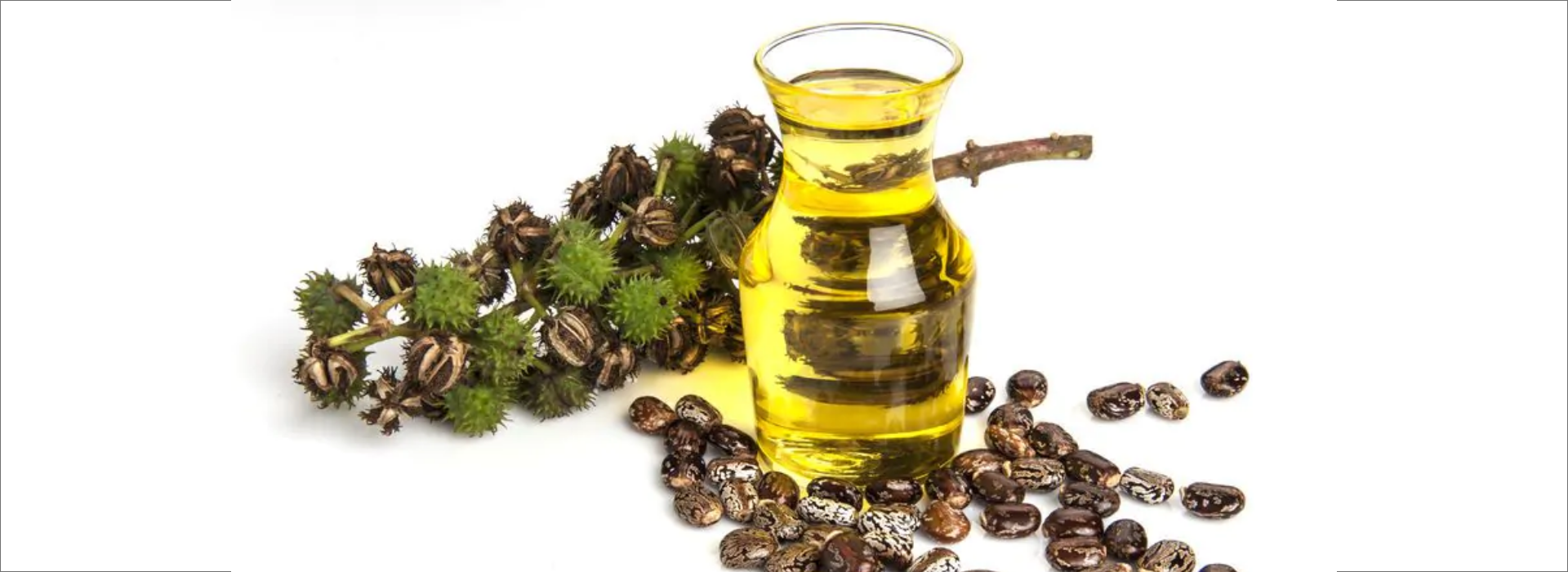 Unlock Natural Healing: The Ultimate Guide to Castor Oil Packs ...